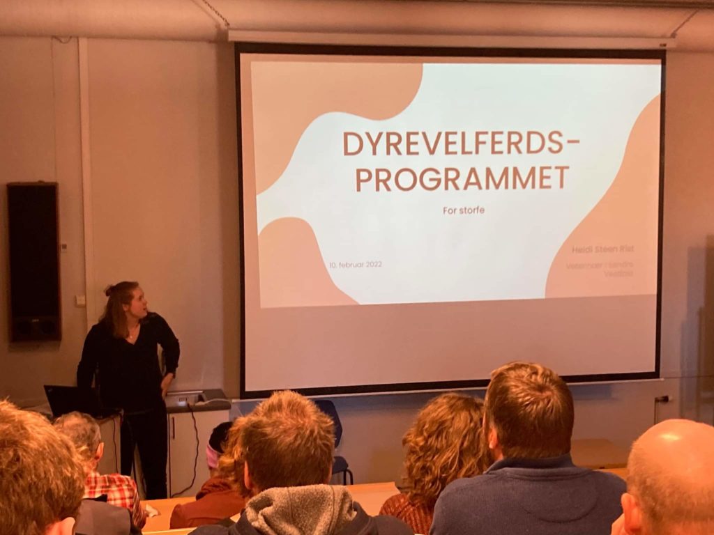 Godt besøkt Storfêkafè - Grønt Fagsenter